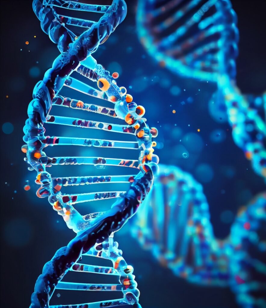 3X4 Genetics - NutriliciousbyZ